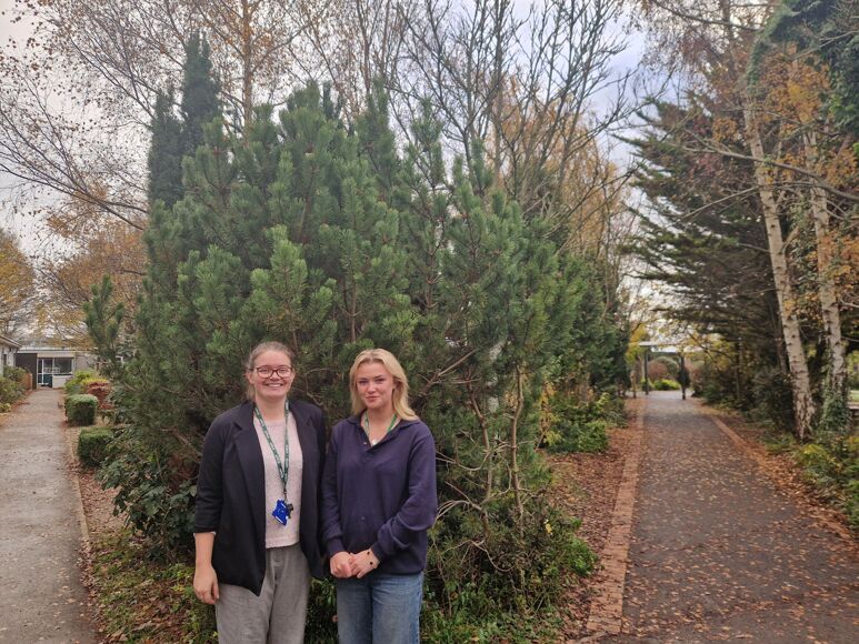 Trees return to Wood Green School! - News - Wood Green School